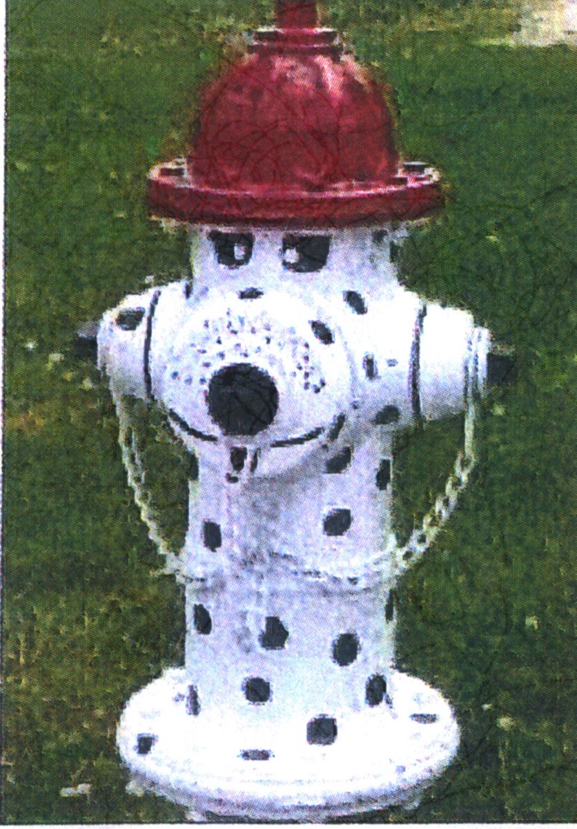 Residential Clean Up, Food Pantry and Decorated Fire Hydrant Project ...