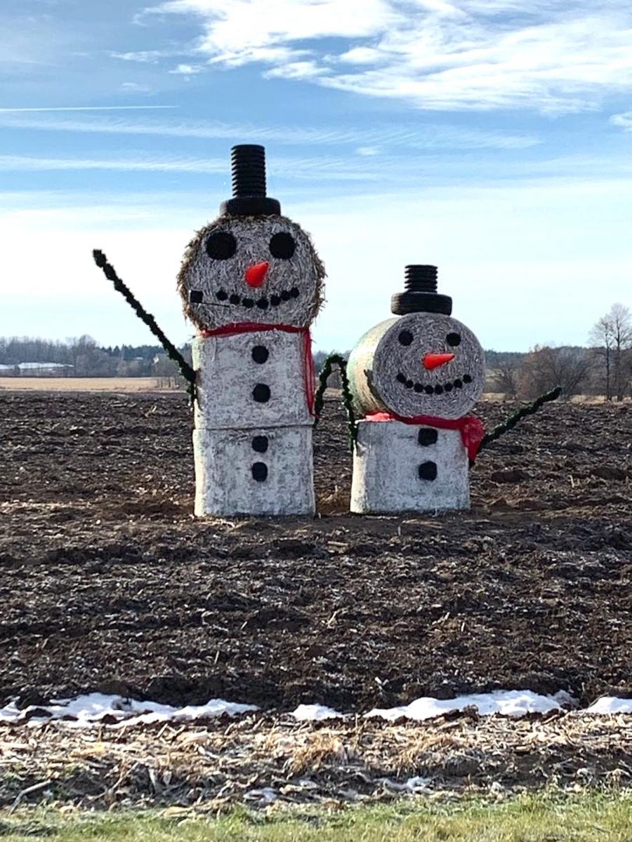 Snowmen In The Field – The Times