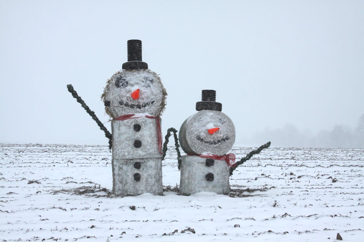 Snowmen In The Field – The Times